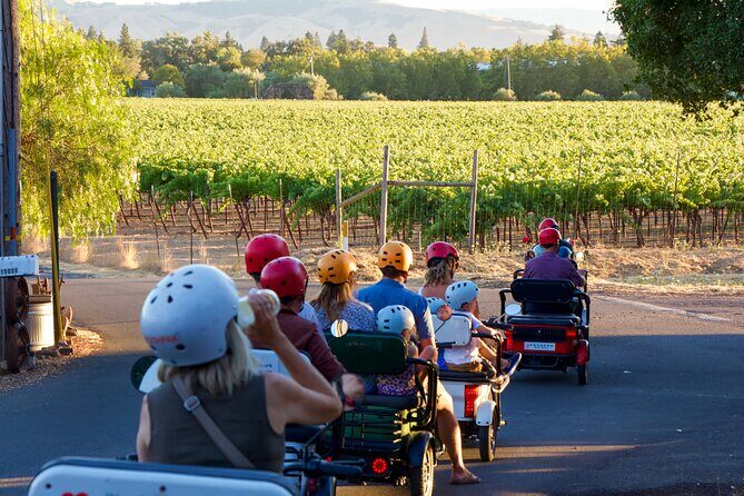 3 Hour Electric Trike Sunset Tour at Sonoma - The Rider Experience: What Youll Enjoy