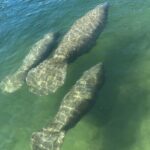 3 Hour Guided Tandem Kayak Adventure - Equipment, Comfort, and Practical Tips