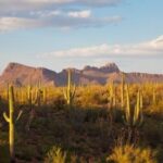 3 Hour Guided TomCar ATV Experience in Sonoran Desert - Key Points