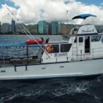 3-Hour Honolulu Bottom Fishing Adventure - Authentic Experiences & Real Reviews