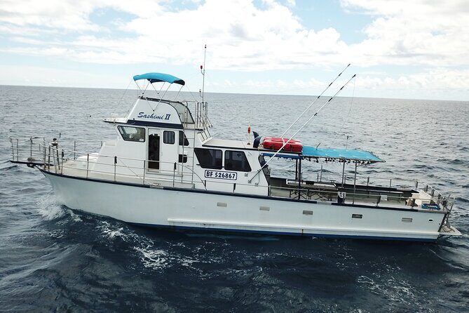 3-Hour Honolulu Bottom Fishing Adventure - The Highlights of the Tour