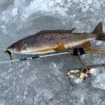 3 Hour Ice Fishing Experience - The Details of This Fairbanks Ice Fishing Tour