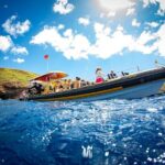 3-Hour Koa Kai Afternoon Adventure Snorkel - Final Thoughts: Why Choose the Koa Kai Snorkel?