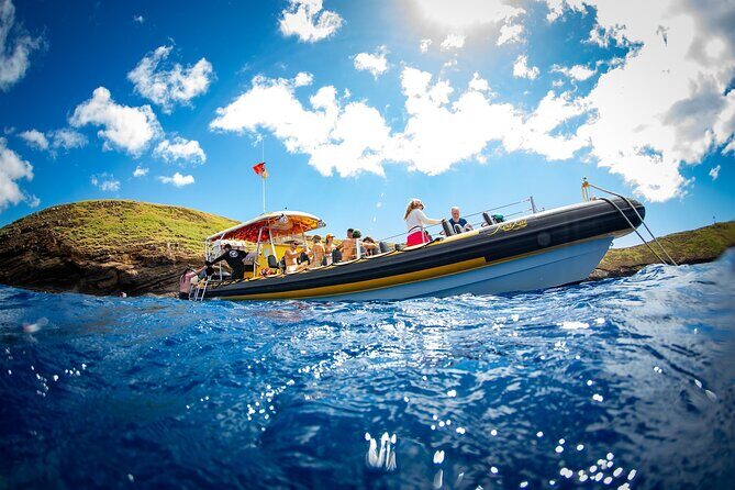 3-Hour Koa Kai Afternoon Adventure Snorkel - Final Thoughts: Why Choose the Koa Kai Snorkel?