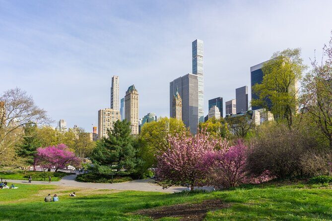 3-Hour Private Guided NYC Central Park Tour with Carrousel Ride - The Practicalities: What You Need to Know