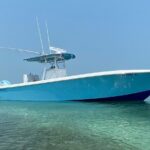 3 Hour Private Snorkeling in Marathon Florida - What To Expect During Your Tour