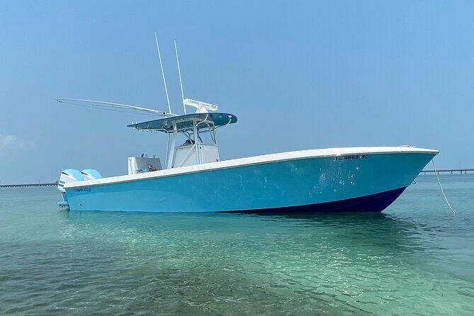 3 Hour Private Snorkeling in Marathon Florida - What To Expect During Your Tour