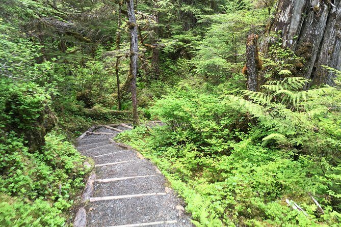 3 Hour Rainforest Walk & Totem Park Wild Wolf Tours - A Deep Dive Into the Experience