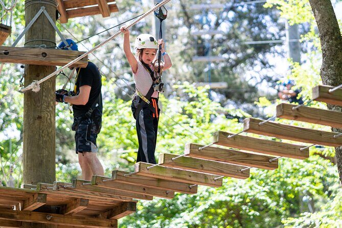 3-Hour Ropes Course & Zip Line Adventure - The Balance Between Challenge and Comfort