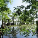 3 Hour Small Group Lake Norris Kayak Activity - Who Will Love This Tour?