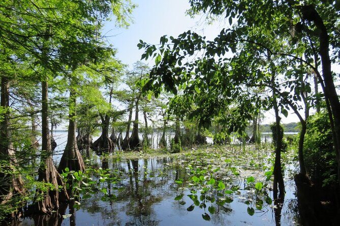 3 Hour Small Group Lake Norris Kayak Activity - Who Will Love This Tour?