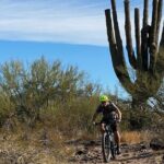 3 Hour Sonoran Desert Private Guided Mountain Bike Tour - The Value Proposition: Is It Worth It?