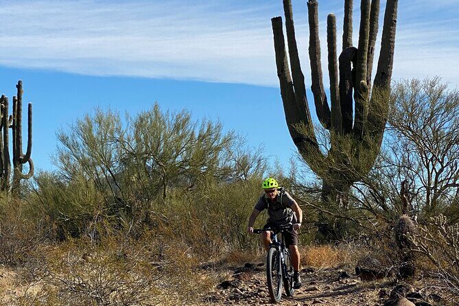 3 Hour Sonoran Desert Private Guided Mountain Bike Tour - The Value Proposition: Is It Worth It?
