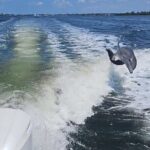 3-Hour Tikibar Private Hopping in Sarasota - The Sum Up: Who Should Consider This Tour?