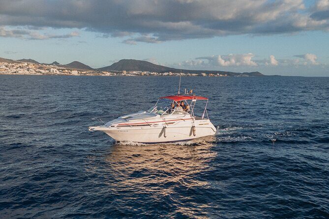 3 Hour VIP Private Luxury Boat Charter in Tenerife - Who Would Love This Trip?