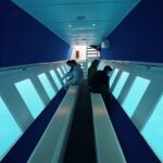 3 Hour Yellow Semi Submarine Swimming Cruise with Drinks Included! - Final Thoughts