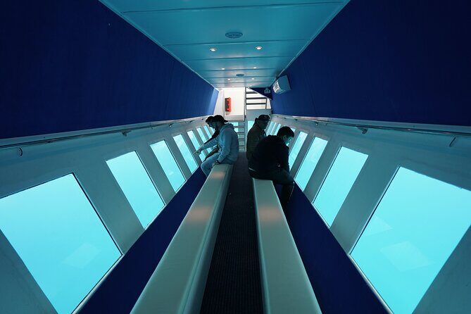3 Hour Yellow Semi Submarine Swimming Cruise with Drinks Included! - Final Thoughts