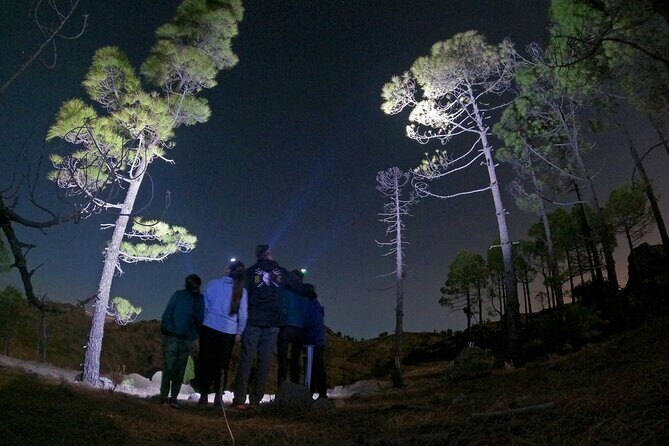 3-Hours Astronomy Hiking Experience in Roque Nublo Mountains - Final Thoughts: Is It Worth It?