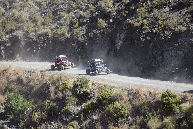 3 Hours Guided Buggy Safari Adventure in the Mountains of Mijas - An In-Depth Look at the Mijas Mountain Buggy Safari