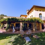 3-Winery Tour Includes Tastings & Lunch from Santa Ynez/Solvang - What Makes the Tour Stand Out?