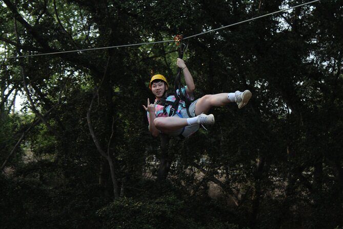 3 Zipline Adventure with Waikiki Transportation - Who Will Love This Experience?
