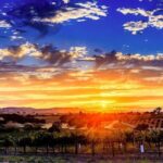30 Minutes Private Flight Experience Over Paso Robles by Plane - Comparing Similar Experiences
