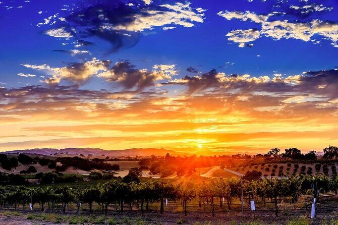 30 Minutes Private Flight Experience Over Paso Robles by Plane - Comparing Similar Experiences