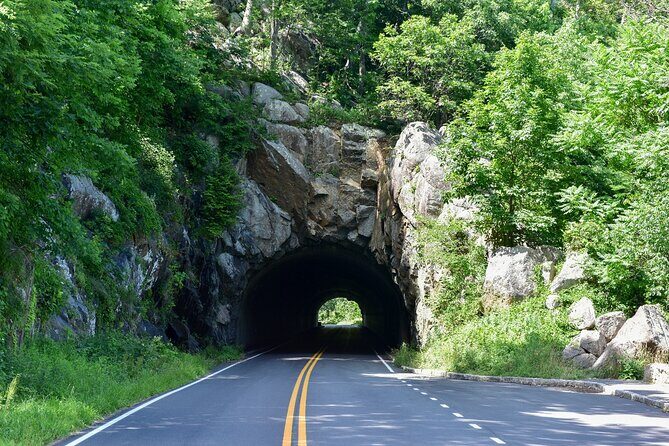 30+ National Parks Self-Guided Driving Tours Bundle - Technical Aspects & Practical Tips