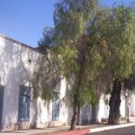 300 Years of Spanish History in Downtown Tucson: A Self-Guided Audio Tour - Who Would Love This Tour?