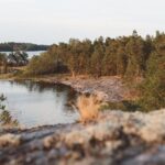 4-Day Kayak & Wildcamp the Archipelago of Sweden - Self-guided - Practical Details and Final Thoughts