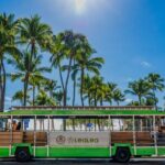 4 Day Pass LeaLea Trolley and Waikiki Trolley Pink Line - An Honest Look at the LeaLea Trolley and Waikiki Pink Line