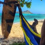 4 Hour Half Day Island Jeep Tour - The Value of a Private Jeep Tour