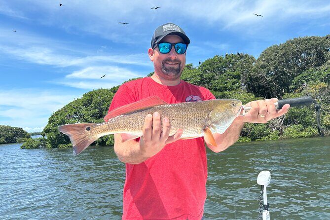 4 hour Inshore Tampa Bay Fishing Trip - The Sum Up: A Real Treasure for Fish Enthusiasts and Nature Lovers