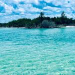 4-Hour Island/Sandbar Excursion with Captain - Final Thoughts