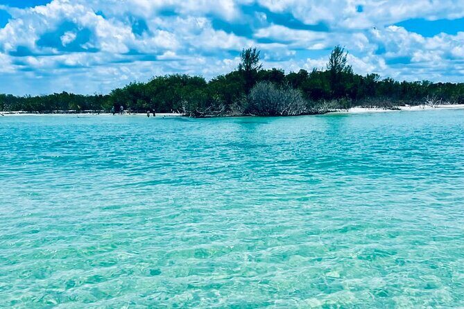 4-Hour Island/Sandbar Excursion with Captain - Final Thoughts