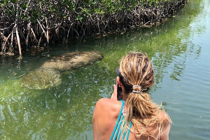 4 Hour Private Ecotour and Snorkeling Boat Tour - FAQs