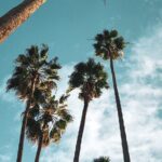 4-Hour Private Haunted Hollywood Tour - What the Tour Includes and Excludes