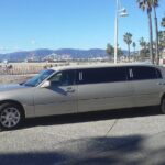 4-Hour Private Limo Tour in Los Angeles - Who Is This Tour Best For?