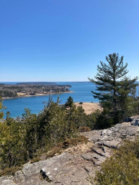 4 Hour Private Tour: Acadia, Fjord, Gardens & Mansions - Authentic Experiences & Genuine Reviews