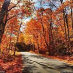 4 Hour Private Tour: Explore Acadia Nat'l Park, Fjord & Mansions - Analyzing the Value