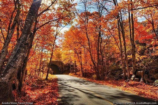 4 Hour Private Tour: Explore Acadia Nat'l Park, Fjord & Mansions - Analyzing the Value