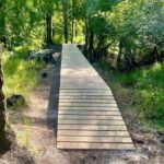 4-hour Rental Mountain Bike Experience - Exploring the Central Florida Trails