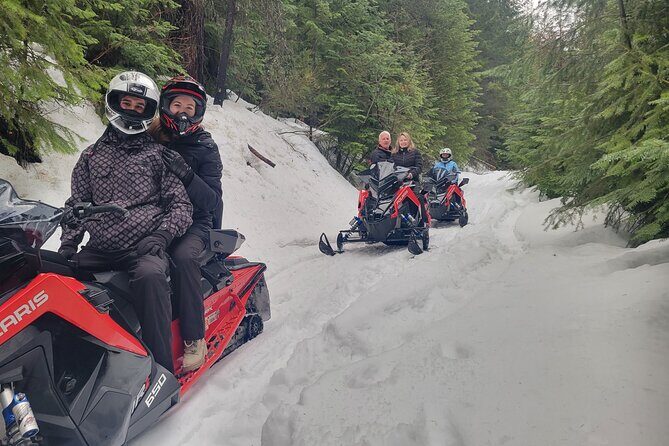4-Hour Snowmobile Rental in Priest Lake - Who Will Love This Tour?