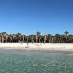 4-Hour St. Pete Pier to Egmont Key Experience by Ferry - Who Will Love This Tour?