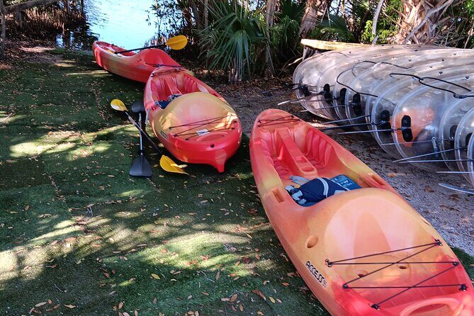 4 Hours Fishing Kayak Rentals - What to Expect During Your Hours on the Water