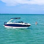 4 Hours Private Boat Tour To Egmont Key State Park - What Travelers Can Expect