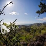 4 Hours Tour Beyond the Golden Gate Bridge Marin Headlands and Sausalito - Practical Aspects and Considerations