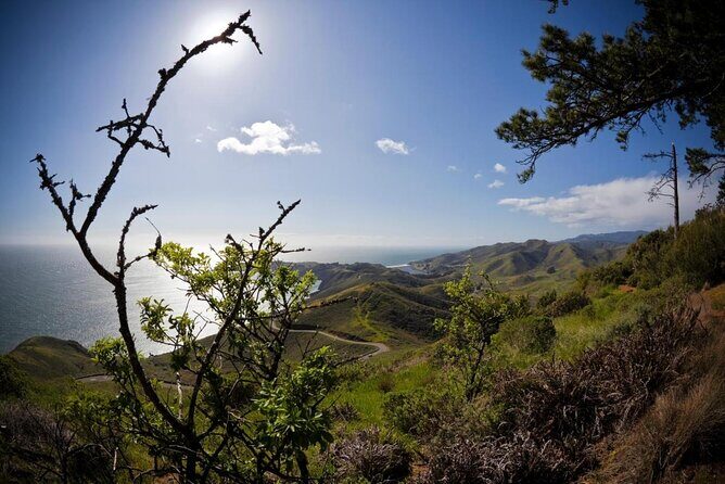 4 Hours Tour Beyond the Golden Gate Bridge Marin Headlands and Sausalito - Practical Aspects and Considerations