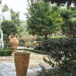 45 minute Highlights of the Garden District - In-Depth Review of the Garden District Highlights Tour