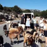 4x4 Safari Tour South Crete Agiofarago Matala - The Practicalities and Considerations